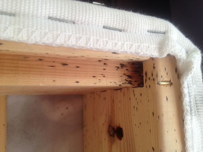 Pest Prevention | Sofa Bed Expert